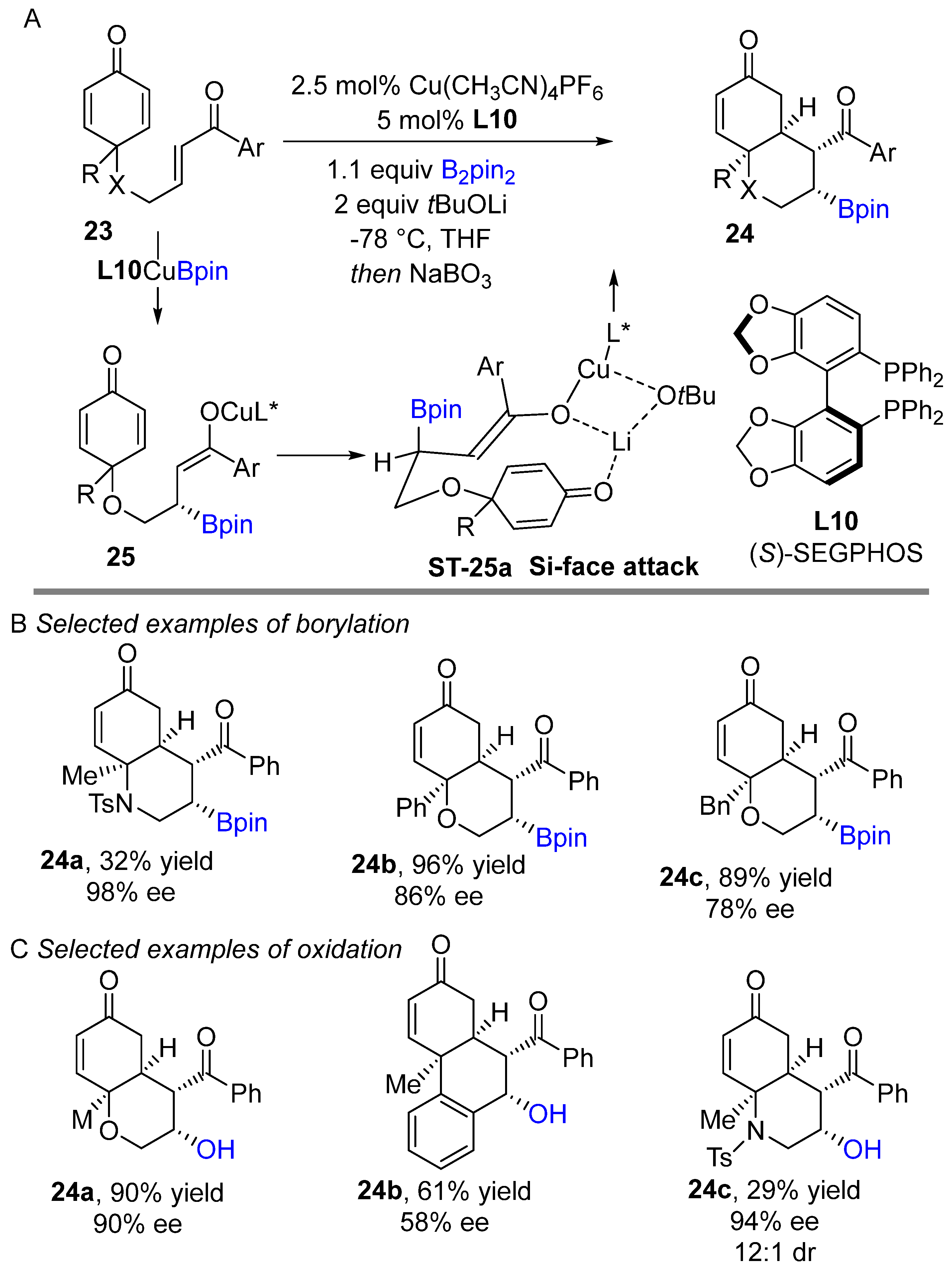 Copper-Catalyzed Diastereo- and Enantioselective Borylative Cyclization
