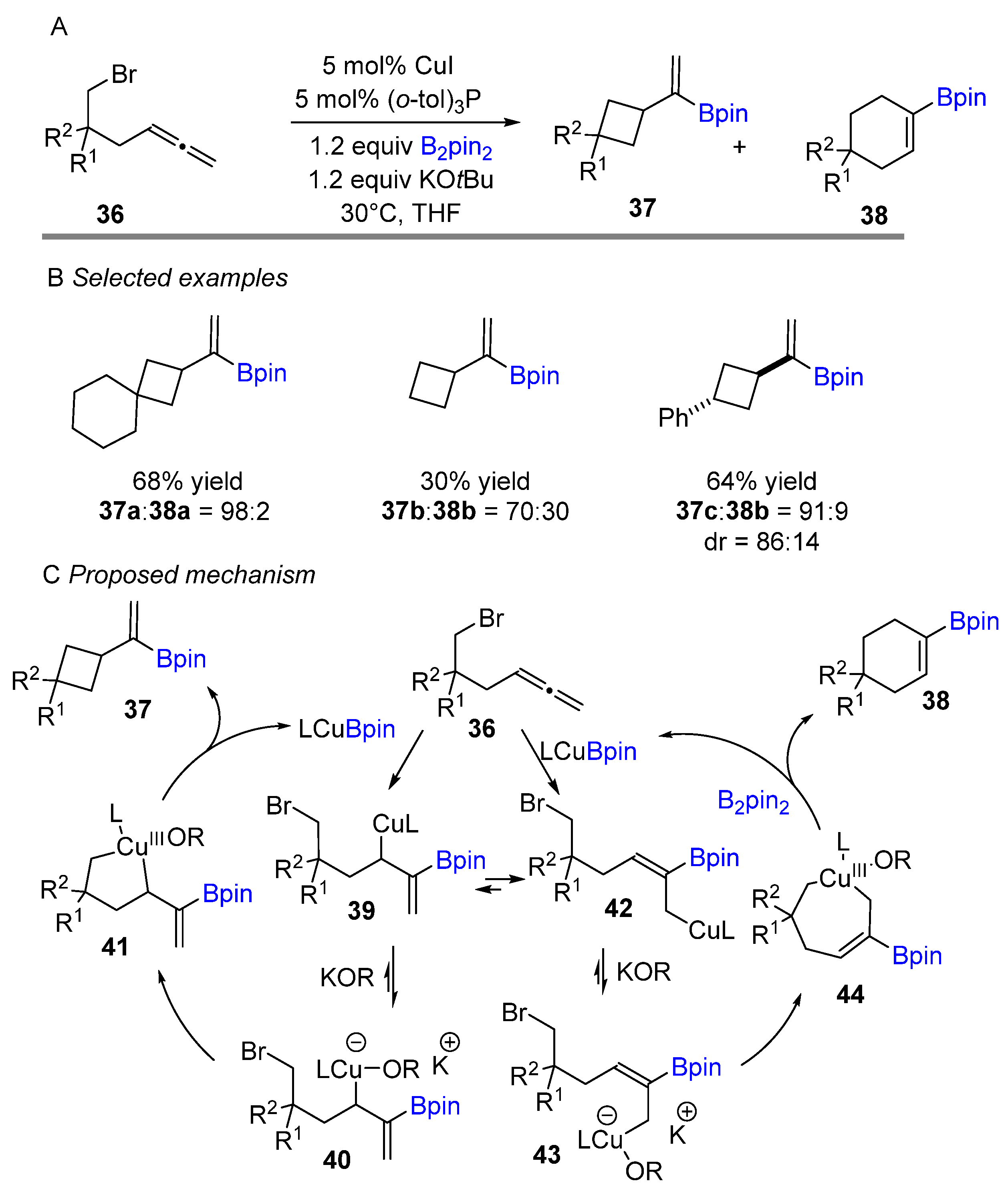Copper-Catalyzed Diastereo- and Enantioselective Borylative Cyclization
