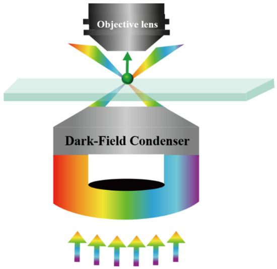 Single-Particle Measurements of Nanocatalysis with Dark-Field Microscopy