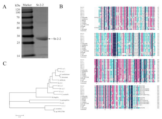 A Novel NADP(H)-Dependent 7alpha-HSDH: Discovery and Construction of ...