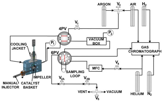 Catalysts | Free Full-Text | The CREC Fluidized Riser Simulator a ...