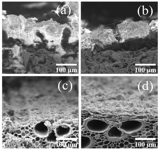 Catalysts | An Open Access Journal from MDPI