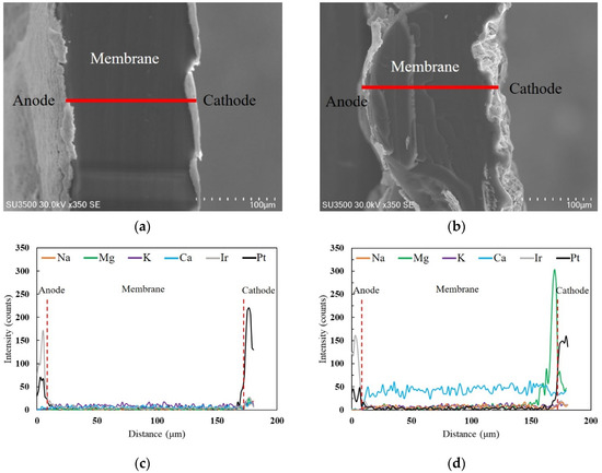 Effects of Artificial River Water on PEM Water Electrolysis Performance