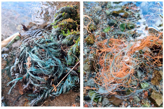 Properties and Recyclability of Abandoned Fishing Net-Based Plastic Debris
