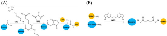 Immobilization of a Bienzymatic System via Crosslinking to a Metal ...