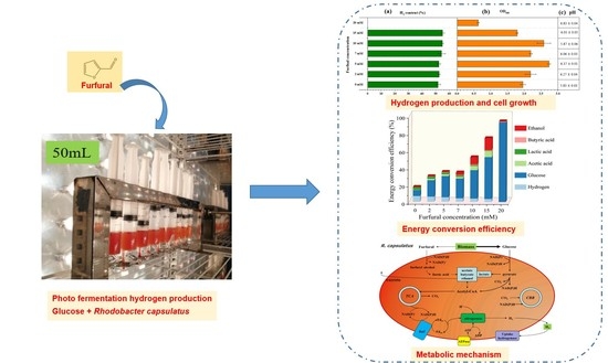 Catalysts | Special Issue : Photocatalysis for Energy Transformation ...