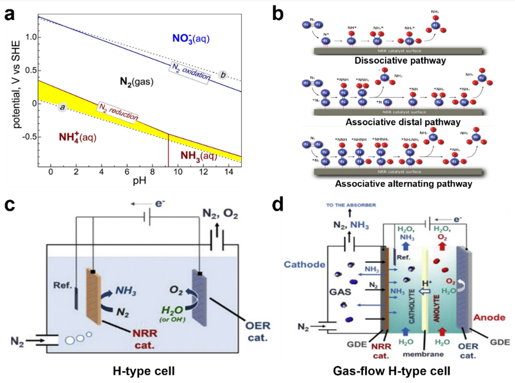 Recent Advances in Electrochemical Nitrogen Reduction Reaction to ...