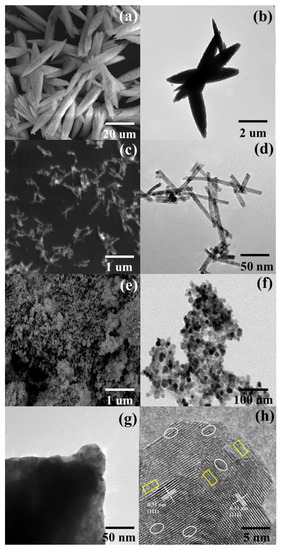 Catalysts Free Full Text Effect Of Morphology Dependent Oxygen