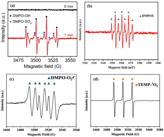 A Review of Persulfate Activation by Magnetic Catalysts to Degrade ...
