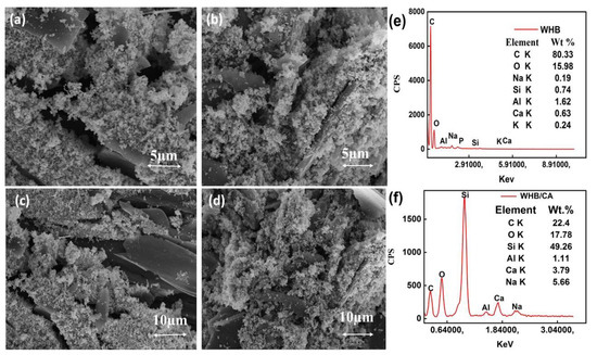 Effective Removal of Refractory Pollutants through Cinnamic Acid ...