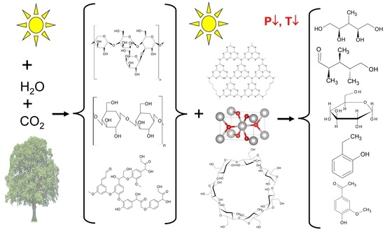 Catalysts | Free Full-Text | Waste Biomass Selective and Sustainable ...