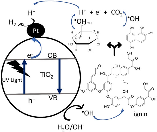 Catalysts | Free Full-Text | Waste Biomass Selective and Sustainable Photooxidation to High ...