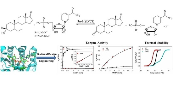 Catalysts | Special Issue : Enzyme Engineering for Improving the ...