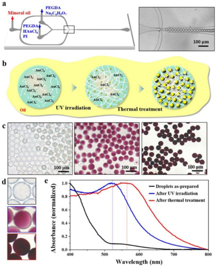 Nanoparticle–Hydrogel Based Sensors: Synthesis and Applications