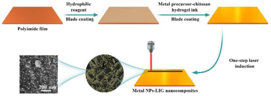 Nanoparticle–Hydrogel Based Sensors: Synthesis and Applications