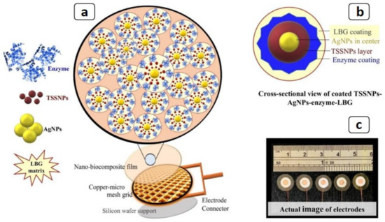 Nanoparticle–Hydrogel Based Sensors: Synthesis and Applications