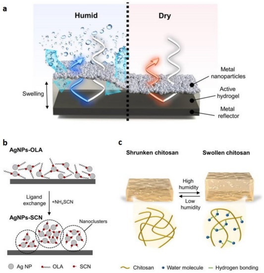 Nanoparticle–Hydrogel Based Sensors: Synthesis and Applications