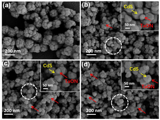 Fabrication of TaON/CdS Heterostructures for Enhanced Photocatalytic ...