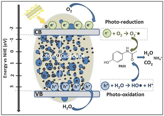 CuS-Based Nanostructures as Catalysts for Organic Pollutants ...