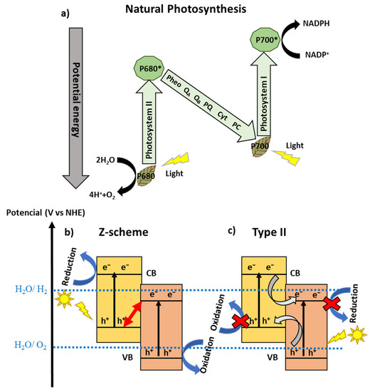 Z Scheme Of Photosynthesis