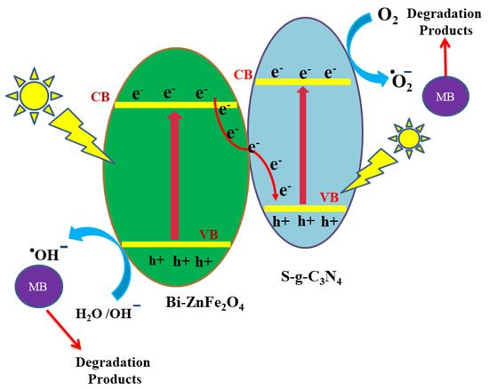 Catalysts | Free Full-Text | Construction of a Well-Defined S-Scheme Heterojunction Based on Bi ...