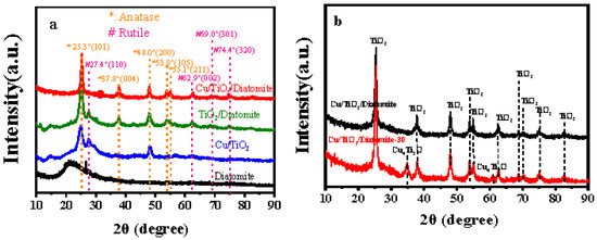 Photocatalytic Bacterial Inactivation of Acinetobacter baumannli on Cu ...