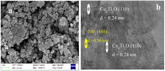 Photocatalytic Bacterial Inactivation of Acinetobacter baumannli on Cu ...