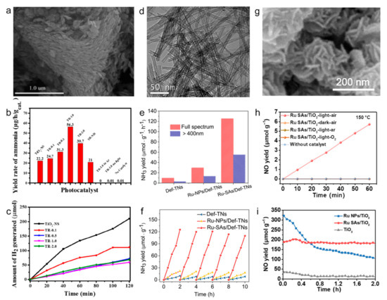 Single-Atom Co-Catalysts Employed in Titanium Dioxide Photocatalysis