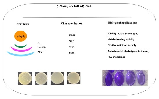 Catalysts | Free Full-Text | Synthesis and Characterization of a ...