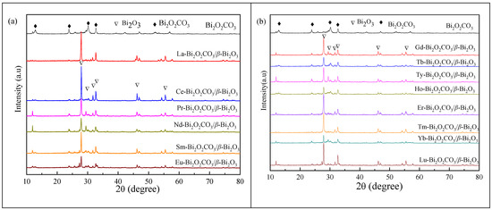 Effect of Light and Heavy Rare Earth Doping on the Physical Structure ...