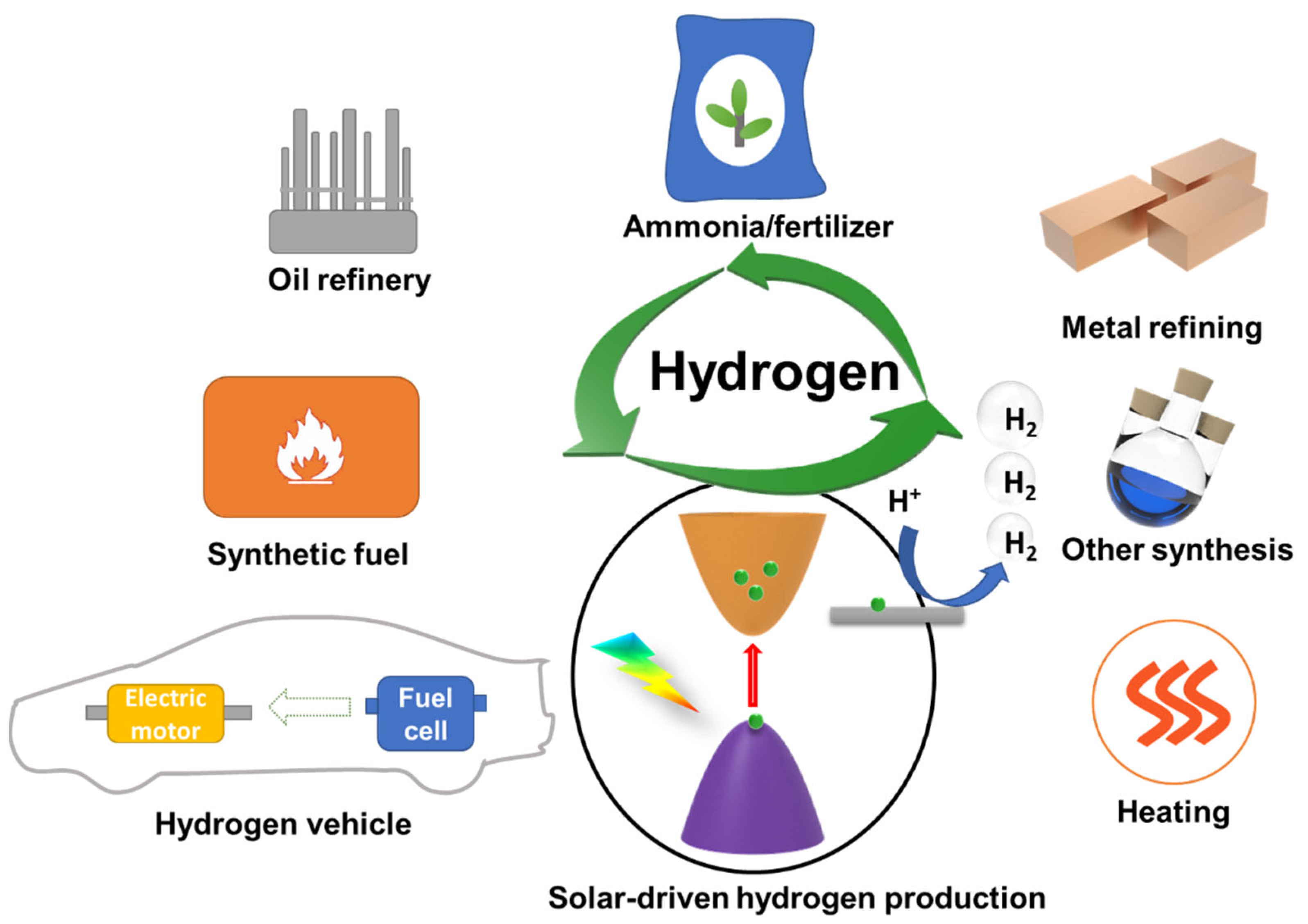Single-Atom Transition Metal Photocatalysts for Hydrogen Evolution Reactions