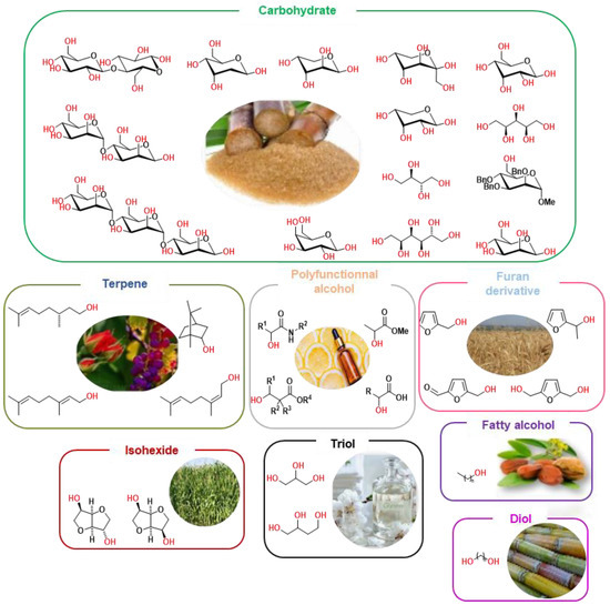 Sustainable Amination of Bio-Based Alcohols by Hydrogen Borrowing Catalysis