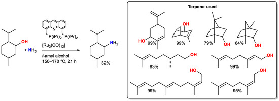 Sustainable Amination of Bio-Based Alcohols by Hydrogen Borrowing Catalysis