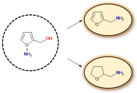 Sustainable Amination of Bio-Based Alcohols by Hydrogen Borrowing Catalysis