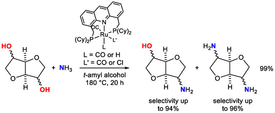 Sustainable Amination of Bio-Based Alcohols by Hydrogen Borrowing Catalysis