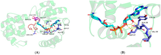 Biocatalytic Cascade of Sebacic Acid Production with In Situ Co-Factor ...