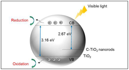 Catalysts | Free Full-Text | Recent Development in Non-Metal-Doped ...