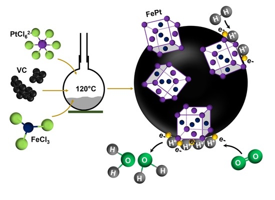 Catalysts | Free Full-Text | Superior Performance of an Iron-Platinum ...