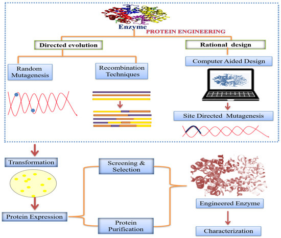 Agro-Industrial Food Waste as a Low-Cost Substrate for Sustainable ...