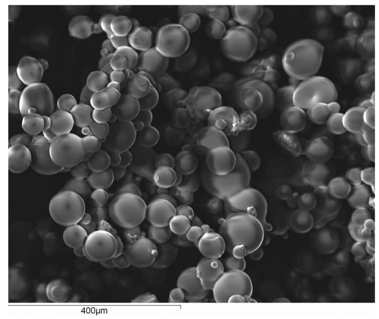 Catalysts | Free Full-Text | A Pyrrolidine Functionalized Poly ...