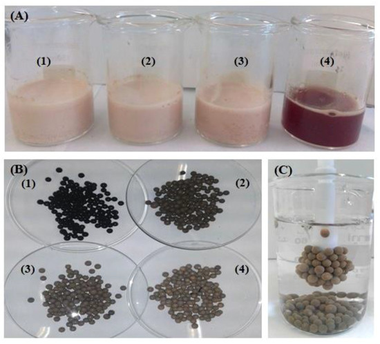 Magnetic TiO2/Fe3O4-Chitosan Beads: A Highly Efficient and Reusable Catalyst for Photo-Electro ...