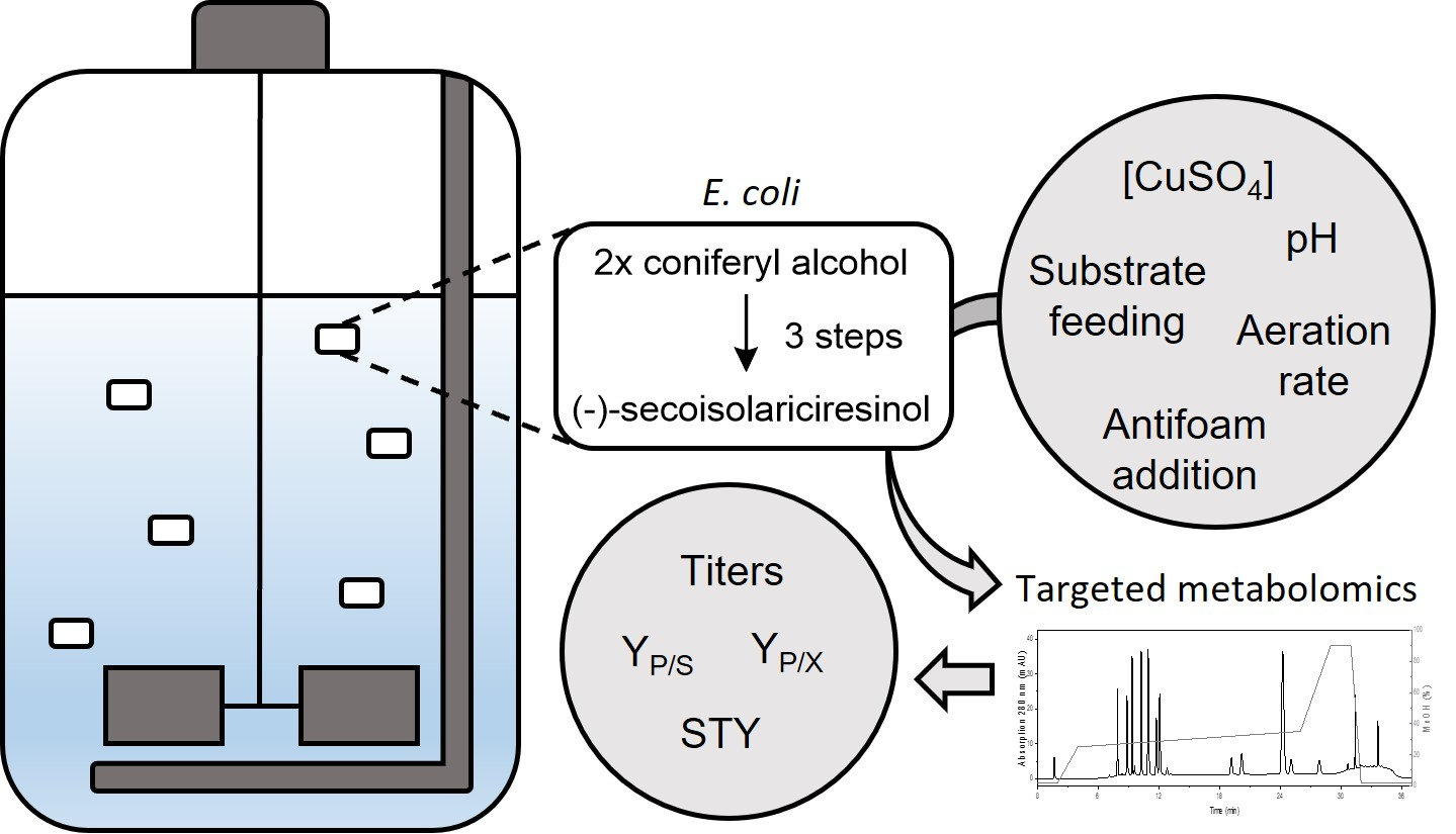 Catalysts | Free Full-Text | Heterologous Lignan Production in Stirred ...