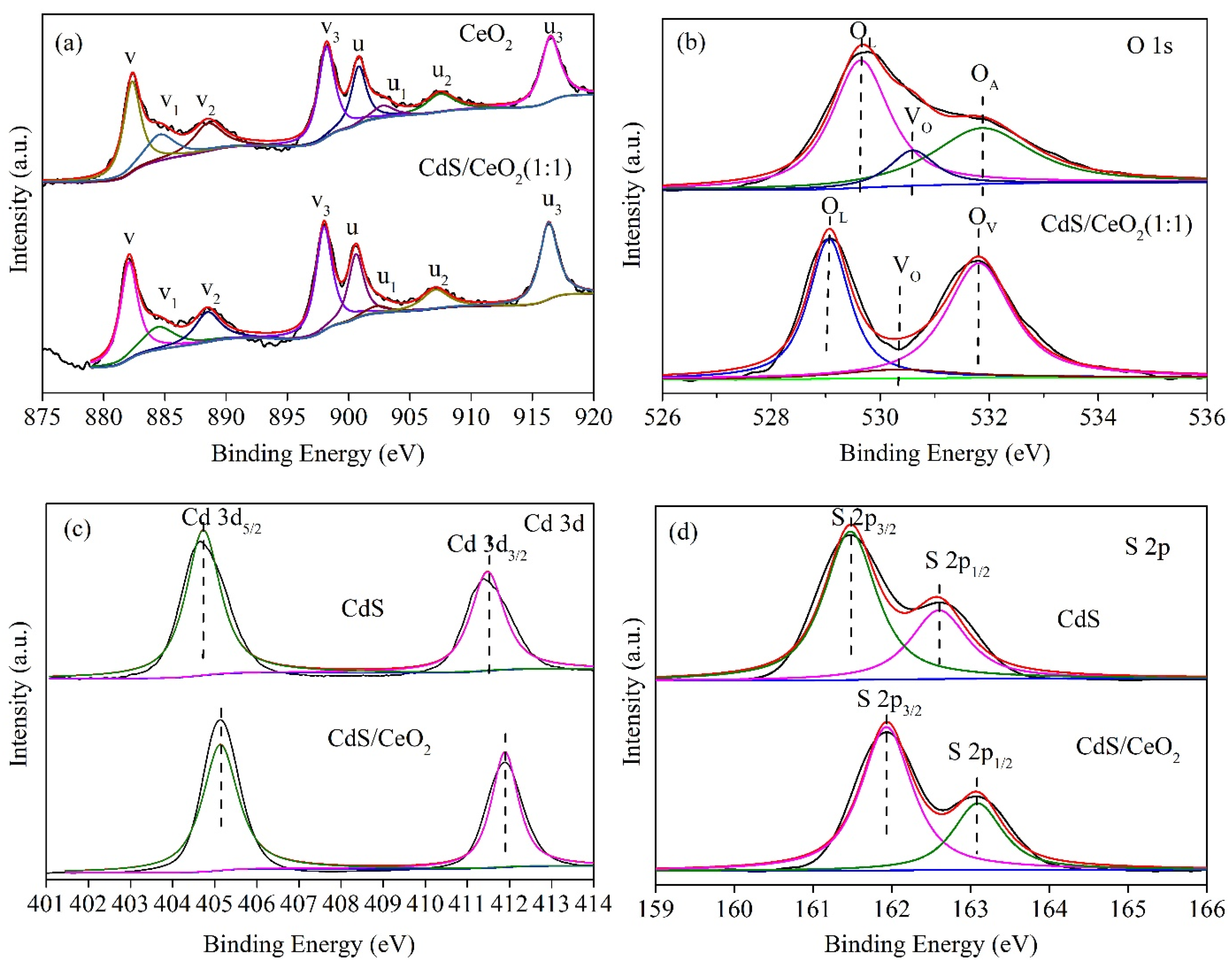 CdS Nanoparticles Decorated 1D CeO2 Nanorods for Enhanced ...