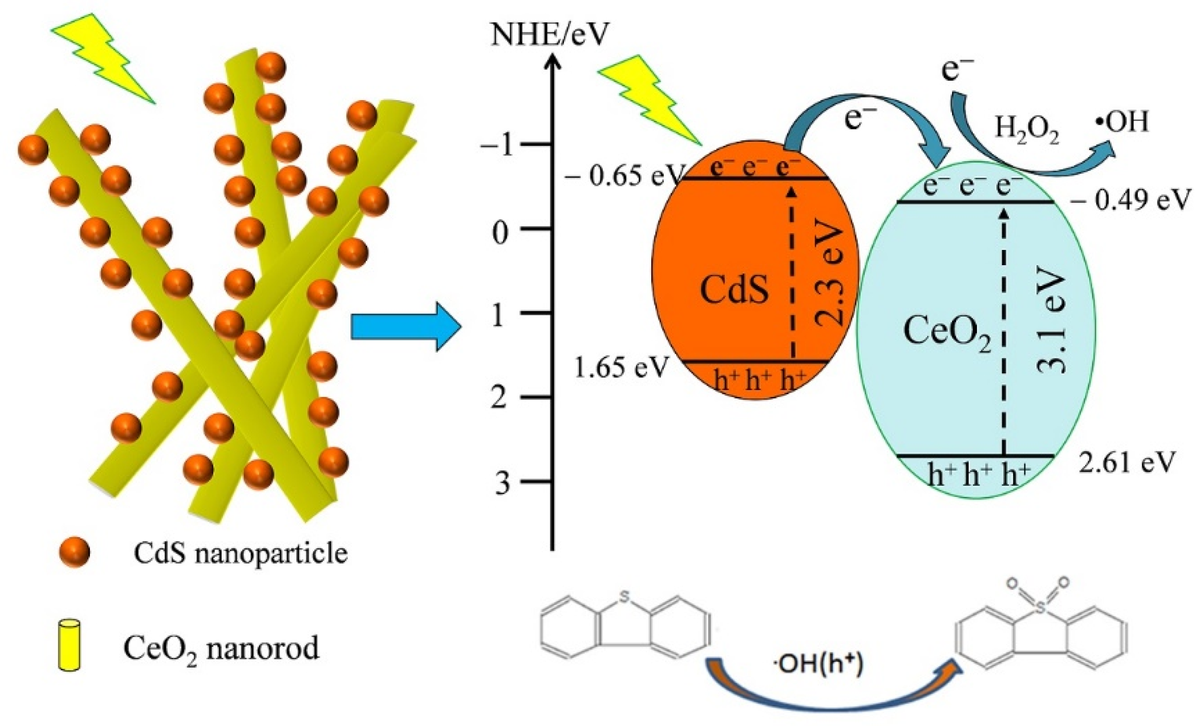 CdS Nanoparticles Decorated 1D CeO2 Nanorods for Enhanced ...