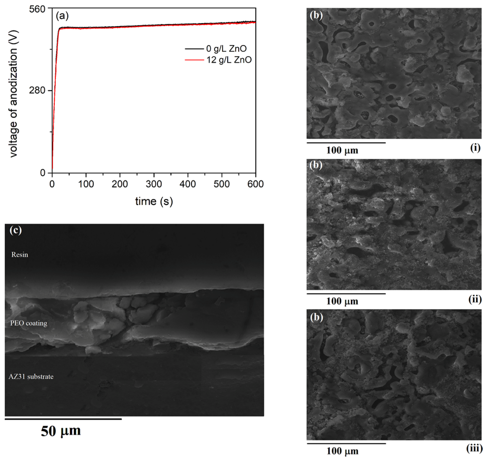 Catalysts | Free Full-Text | ZnO Particles Modified MgAl Coatings with Improved Photocatalytic ...