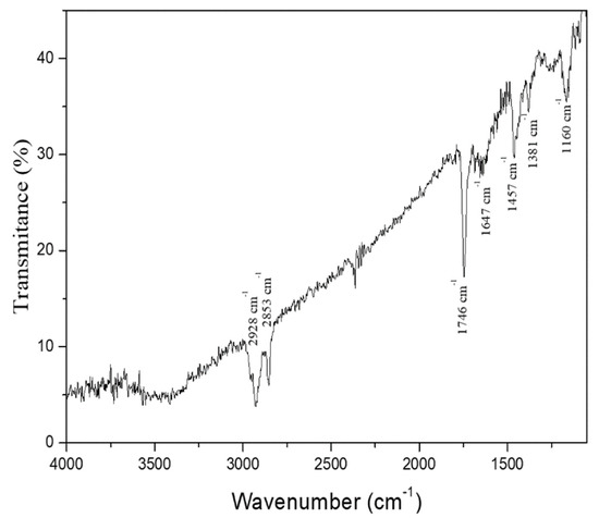 Biogasoline Obtained Using Catalytic Pyrolysis of Desmodesmus sp ...