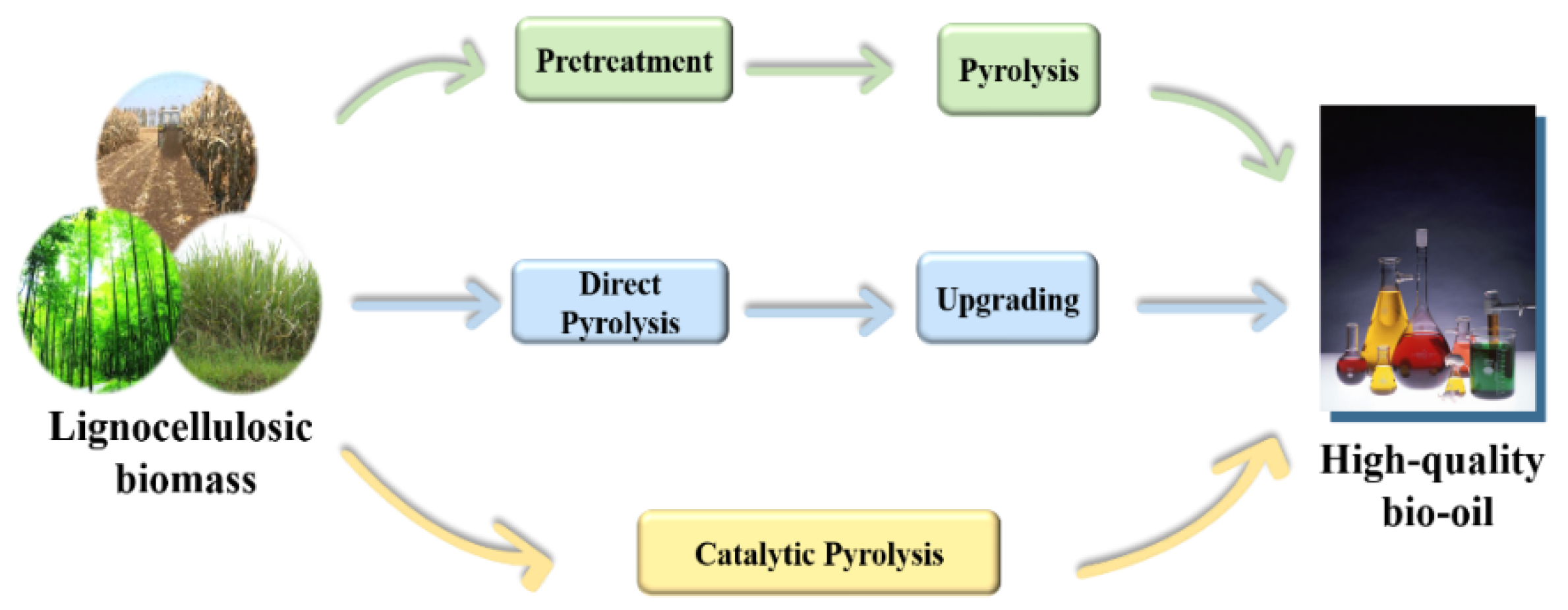 Current Challenges and Perspectives for the Catalytic Pyrolysis of Lignocellulosic Biomass to ...