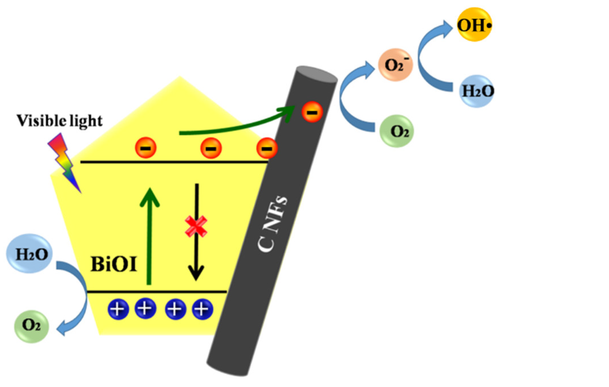 Synthesis and Visible Light Catalytic Performance of BiOI/Carbon ...