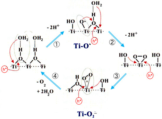 Water Photo-Oxidation over TiO2—History and Reaction Mechanism