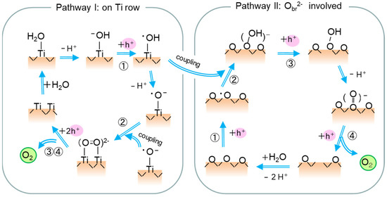 Water Photo-Oxidation over TiO2—History and Reaction Mechanism